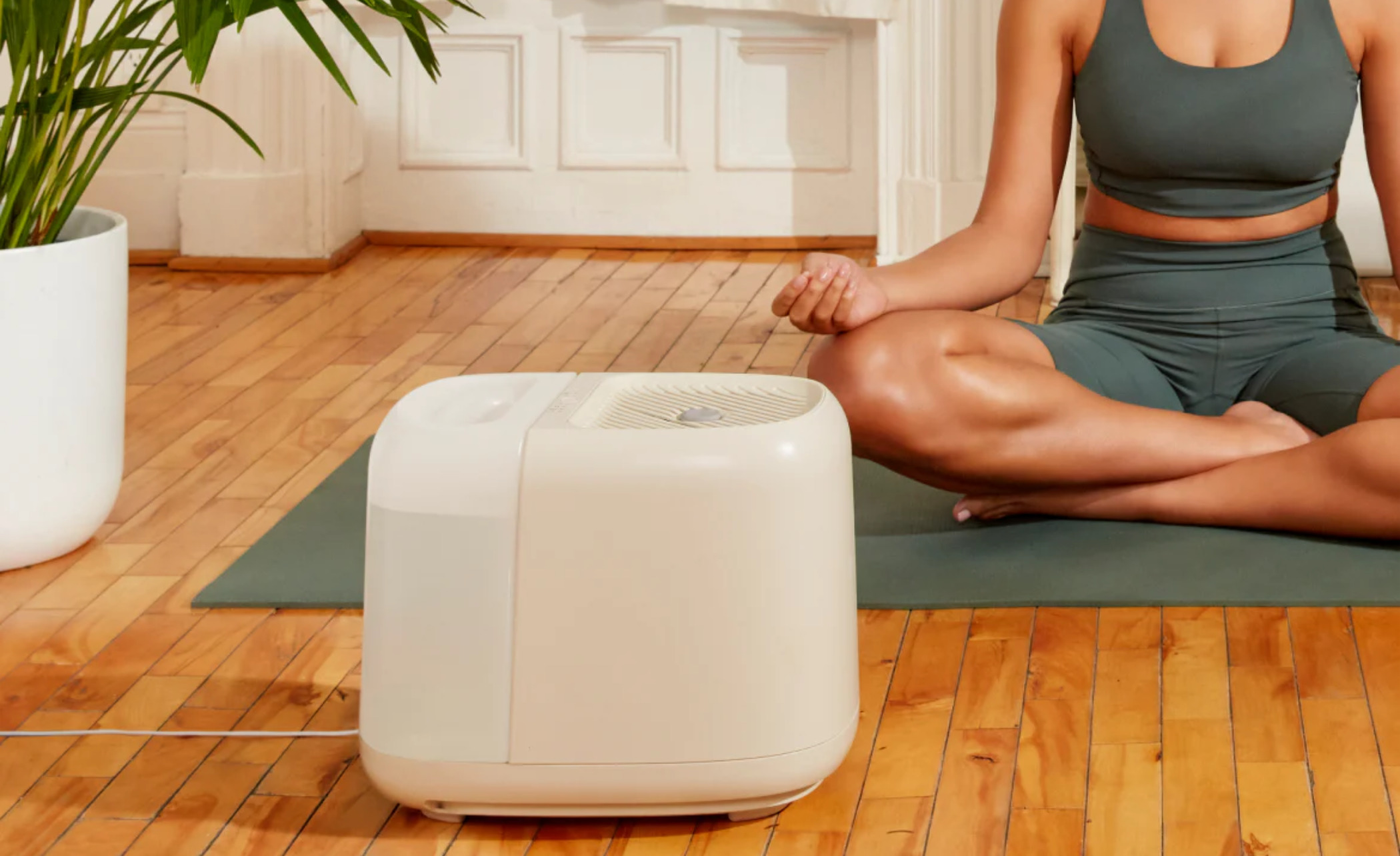 This Humidifier Is So Luxe, People Wanted One for Every Room…So Canopy ...